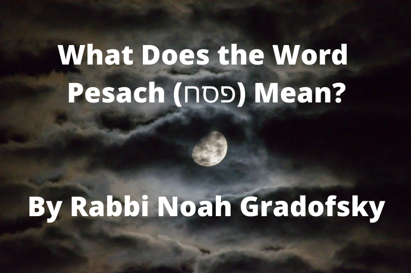 What Does the Word Pesach (פסח) Mean? | UTJ Viewpoints