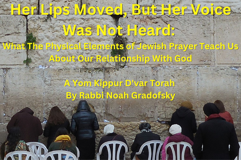 Yom Kippur – Her Lips Moved, But Her Voice Was Not Heard: What The ...